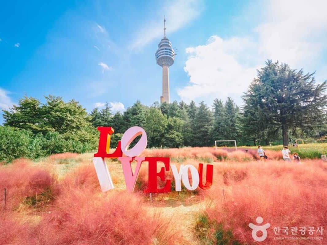 놀이공원 옆에 이런 데가? 대구이월드 근처 핫플 3 - 네이트뷰